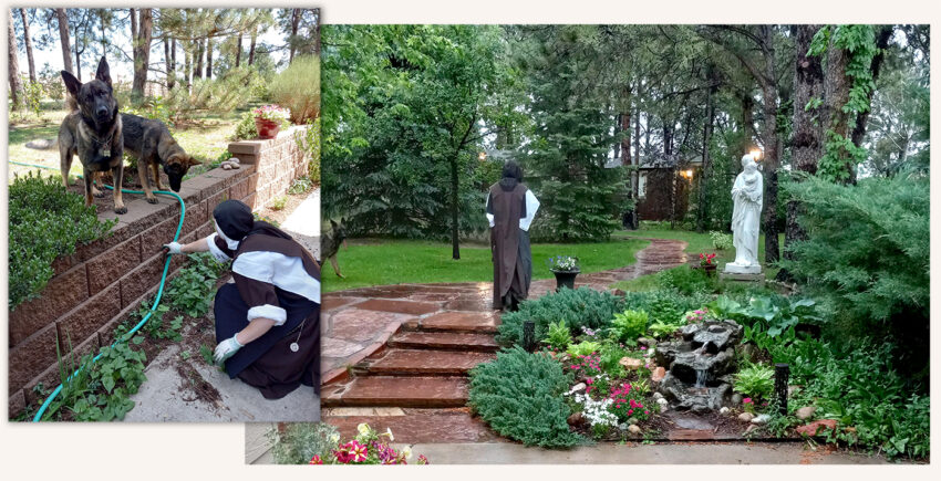 Holy Simplicity - Sisters of Carmel